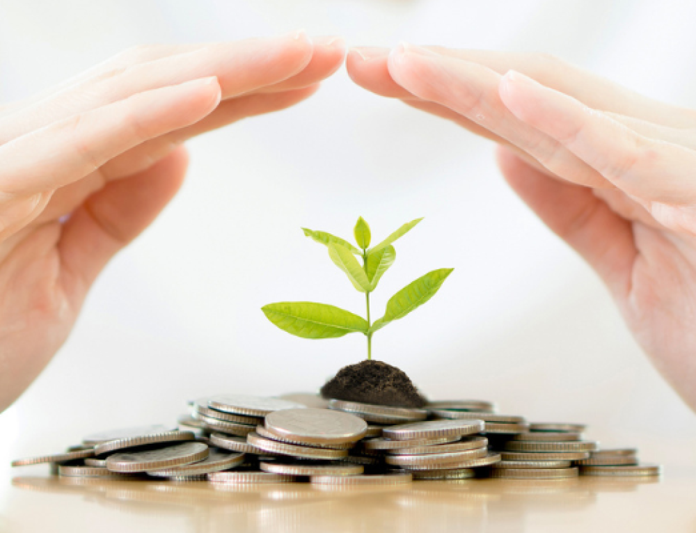 Fidelity Bond vs. Fidelity Insurance for 401(k) Plans